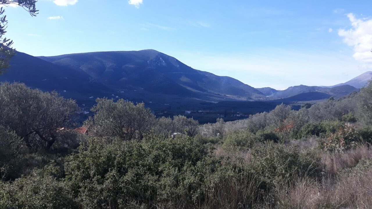 EPIDAYROS PROPERTY - ΜΕΣΙΤΙΚΟ ΓΡΑΦΕΙΟ