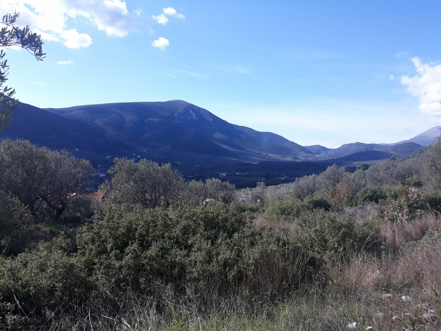 EPIDAYROS PROPERTY - ΜΕΣΙΤΙΚΟ ΓΡΑΦΕΙΟ
