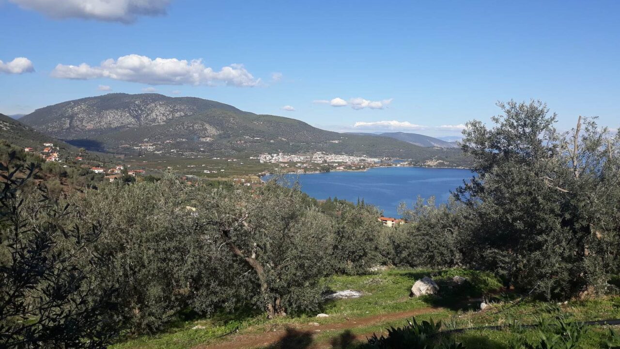 EPIDAYROS PROPERTY - ΜΕΣΙΤΙΚΟ ΓΡΑΦΕΙΟ
